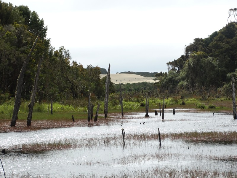 Realizan inédito estudio sobre la historia ambiental de la cuenca de un ...